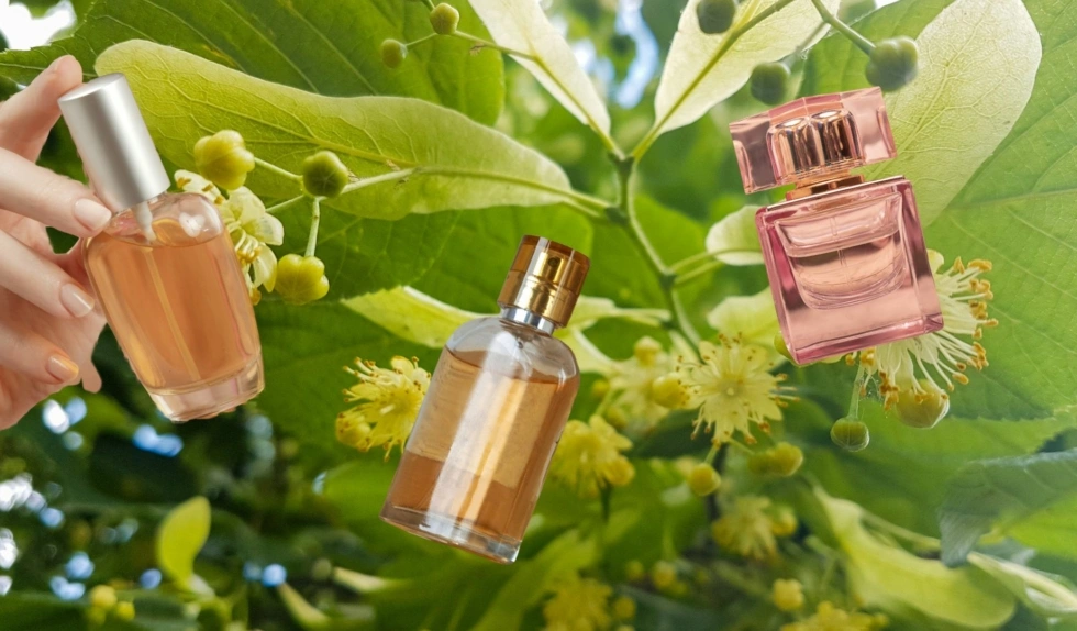 Perfumy z nutą kwitnącej lipy to zapach polskiego lata. Oto TOP 3